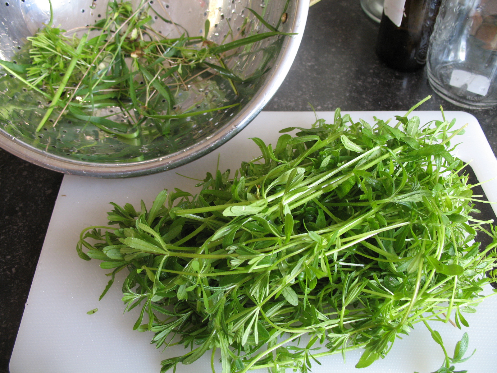 Cleavers Juice (Galium aparine, NL:Kleefkruid) | Urban Herbology