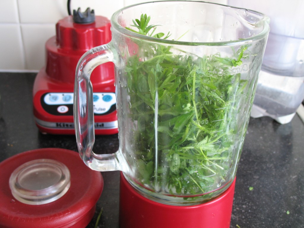 Cleavers Juice (Galium aparine, NL:Kleefkruid) | Urban Herbology