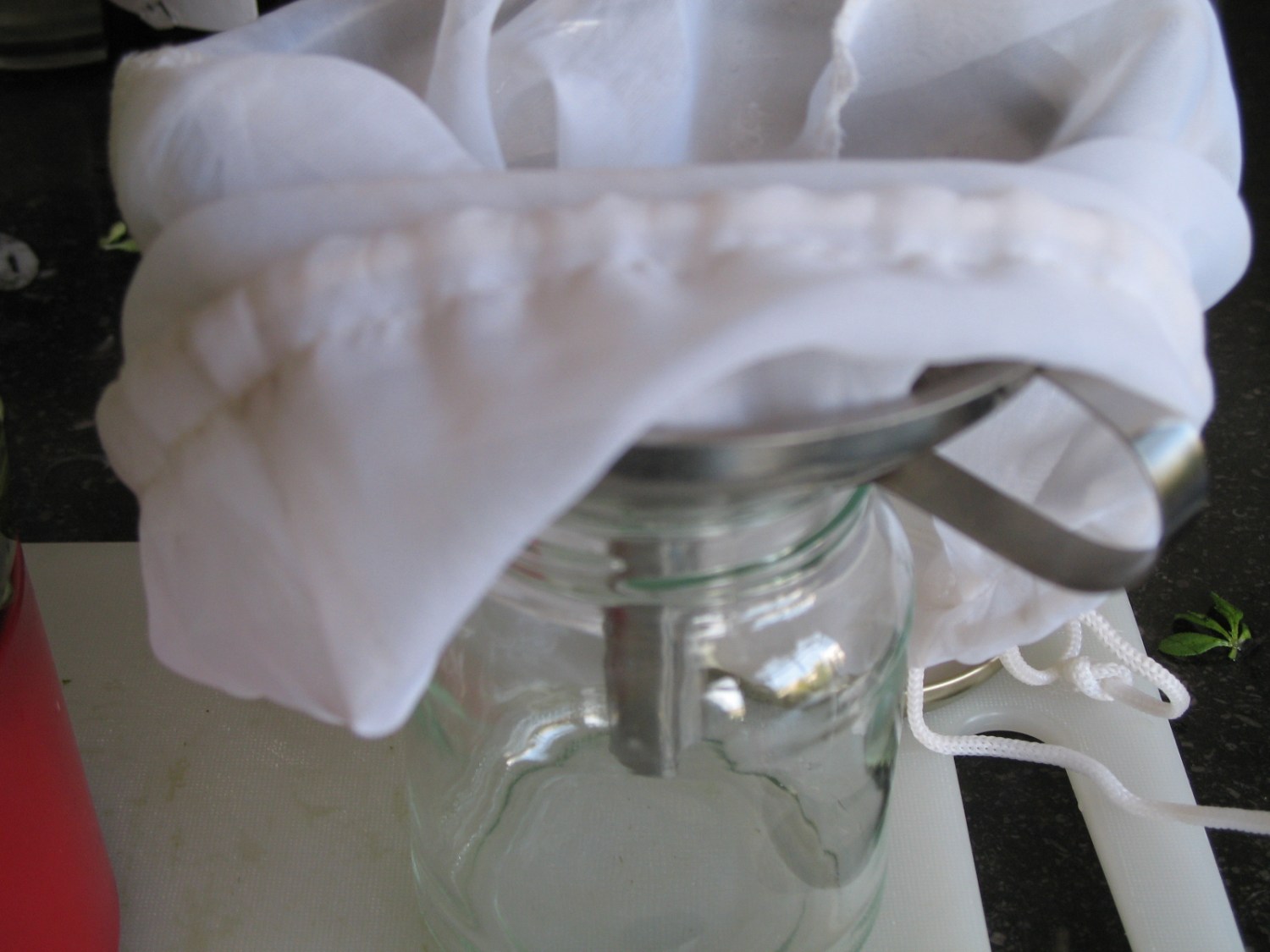 Cleavers Juice (Galium aparine, NL:Kleefkruid) | Urban Herbology