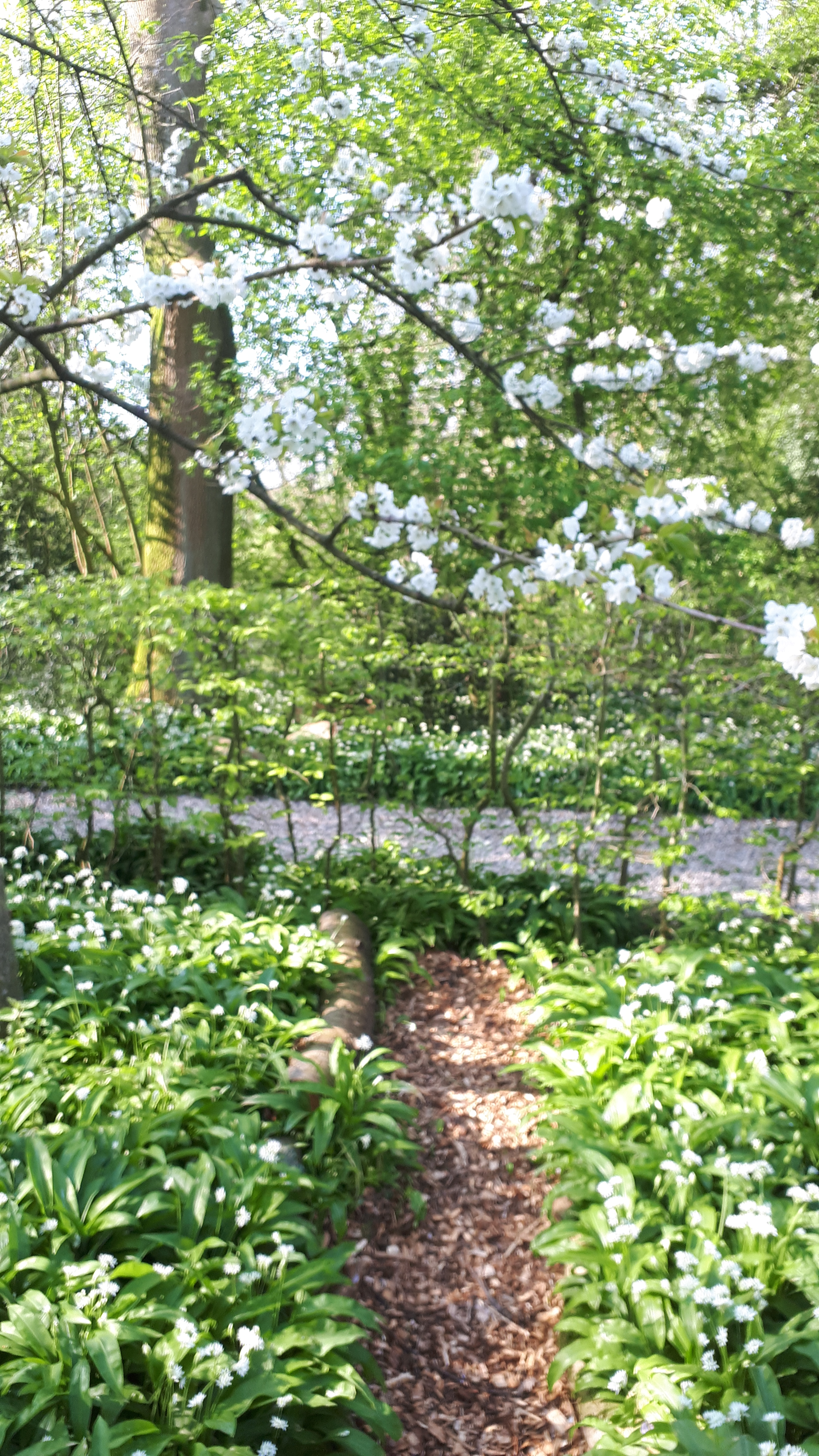 Herb Walk | Urban Herbology